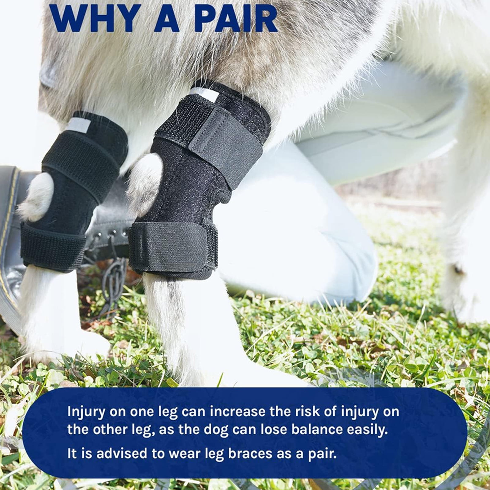 Frogued Dog Leg Brace for Hind Hock Joint Dog Canine Rear Leg Support ...