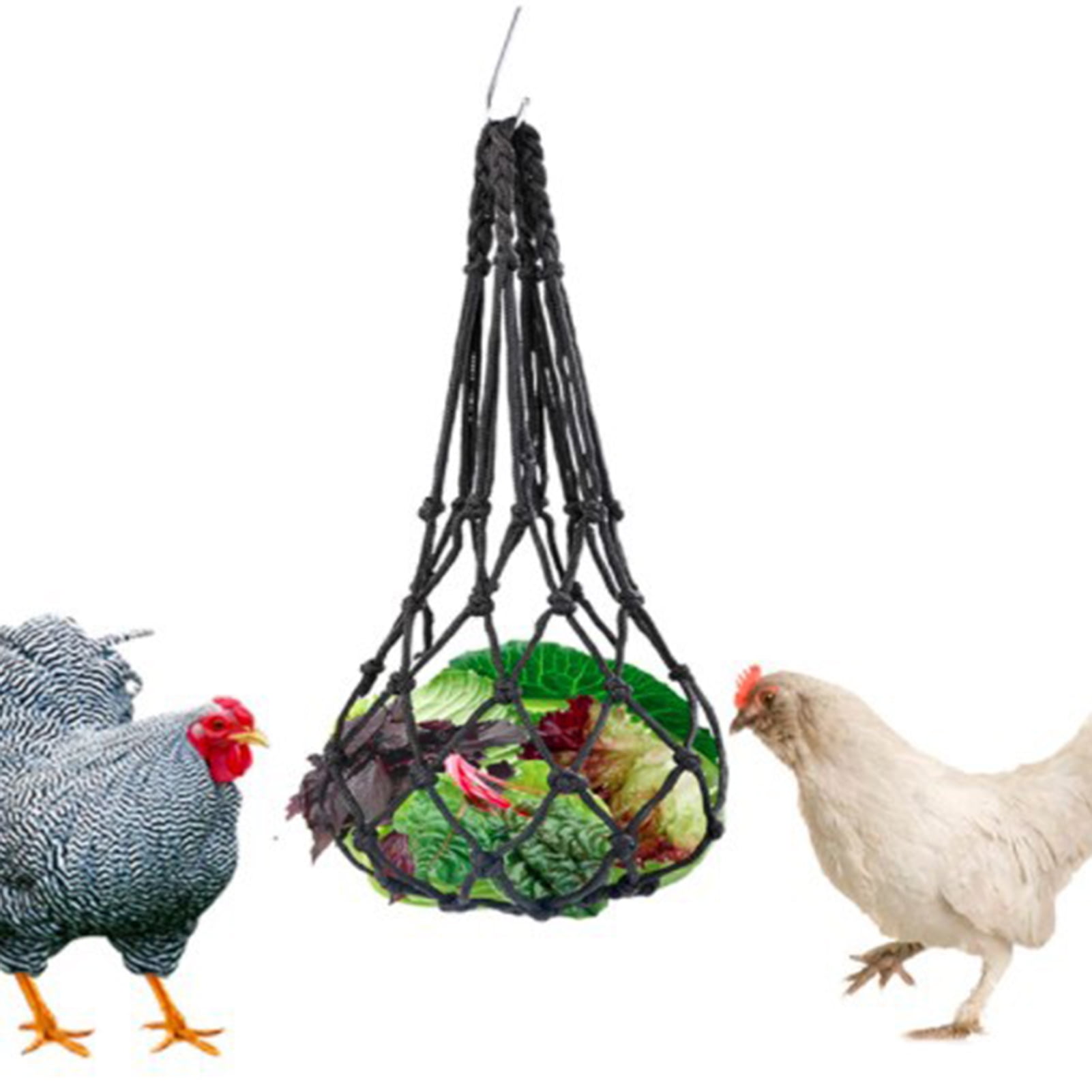 Frogued Feeding Net Hanging Design Bite Resistant Metal Hook Chicken ...