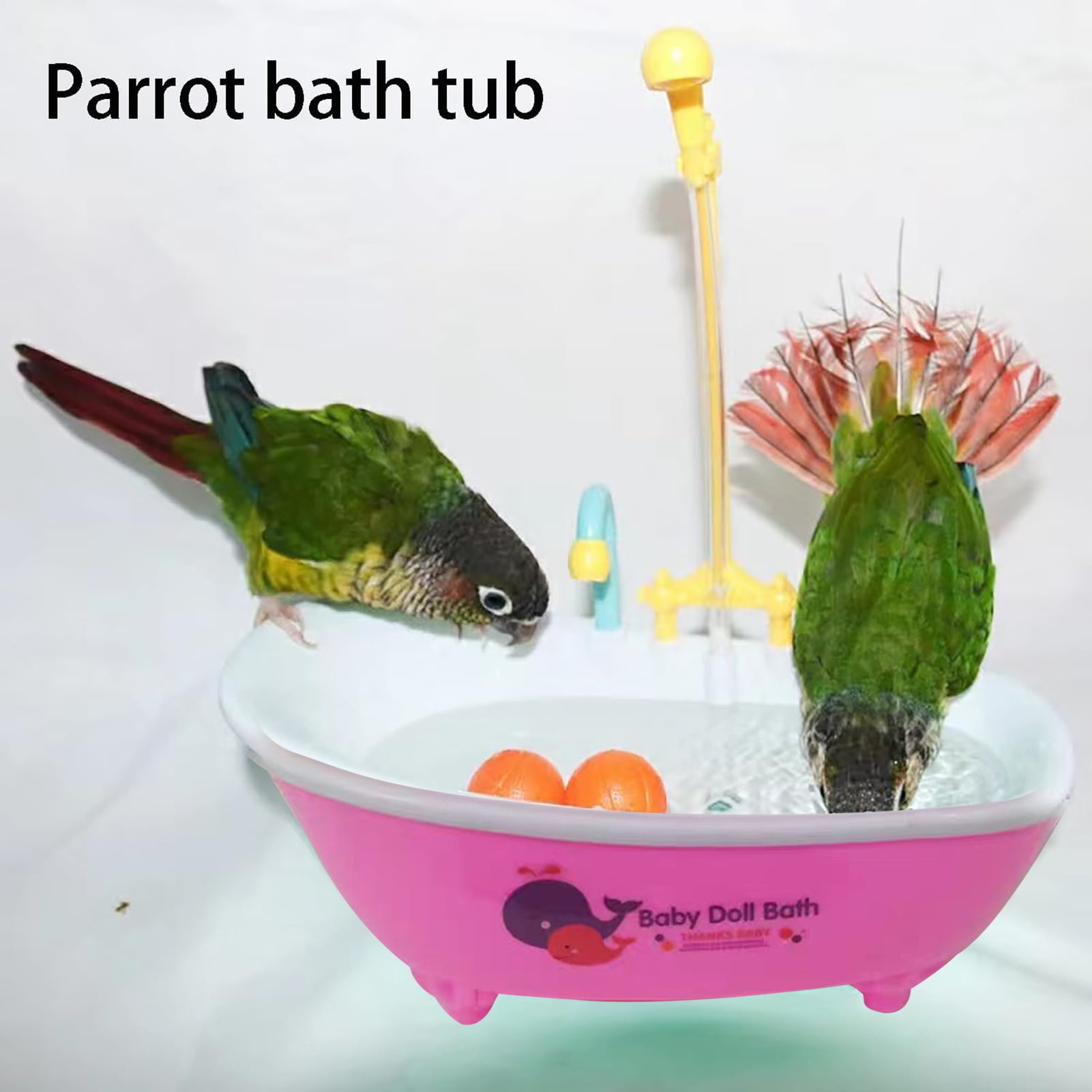 Frogued Parrot Bathtub Automatic Pet Birds Bath Shower Tub Electric ...