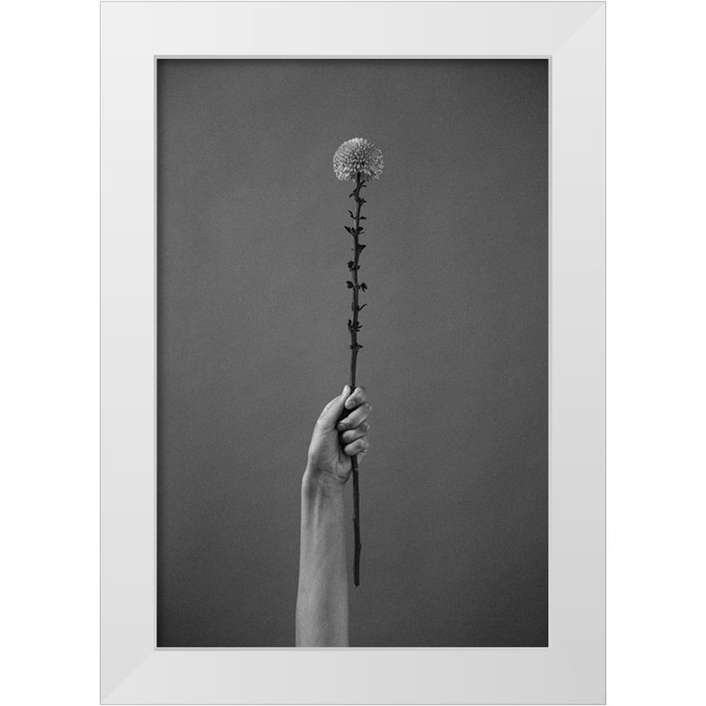 Frolova, Antonida 17x24 White Modern Wood Framed Museum Art Print ...