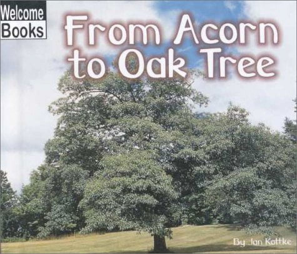 Pre-Owned From Acorn to Oak Tree (Hardcover) 0516233068 9780516233062 ...