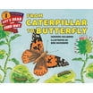 Caterpillar to Butterfly (Board Book) - Walmart.com