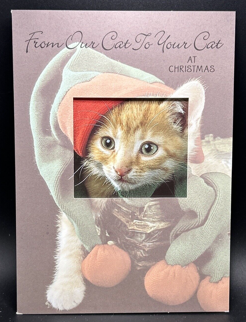 From Our Cat to Your Cat Christmas Greeting Card w/Envelope - Walmart.com