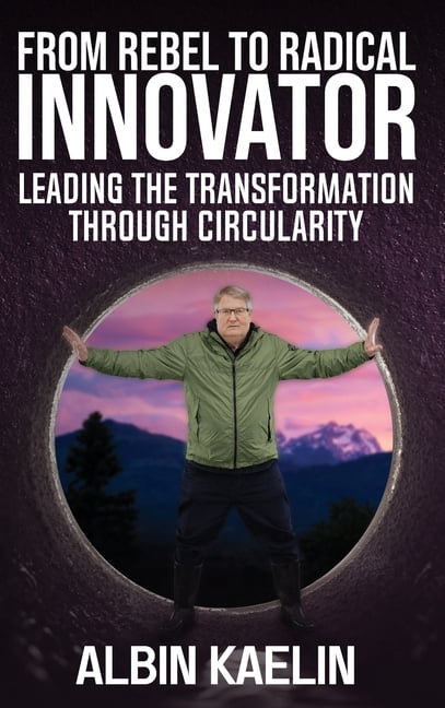 From Rebel to Radical Innovator: Leading the Transformation through ...