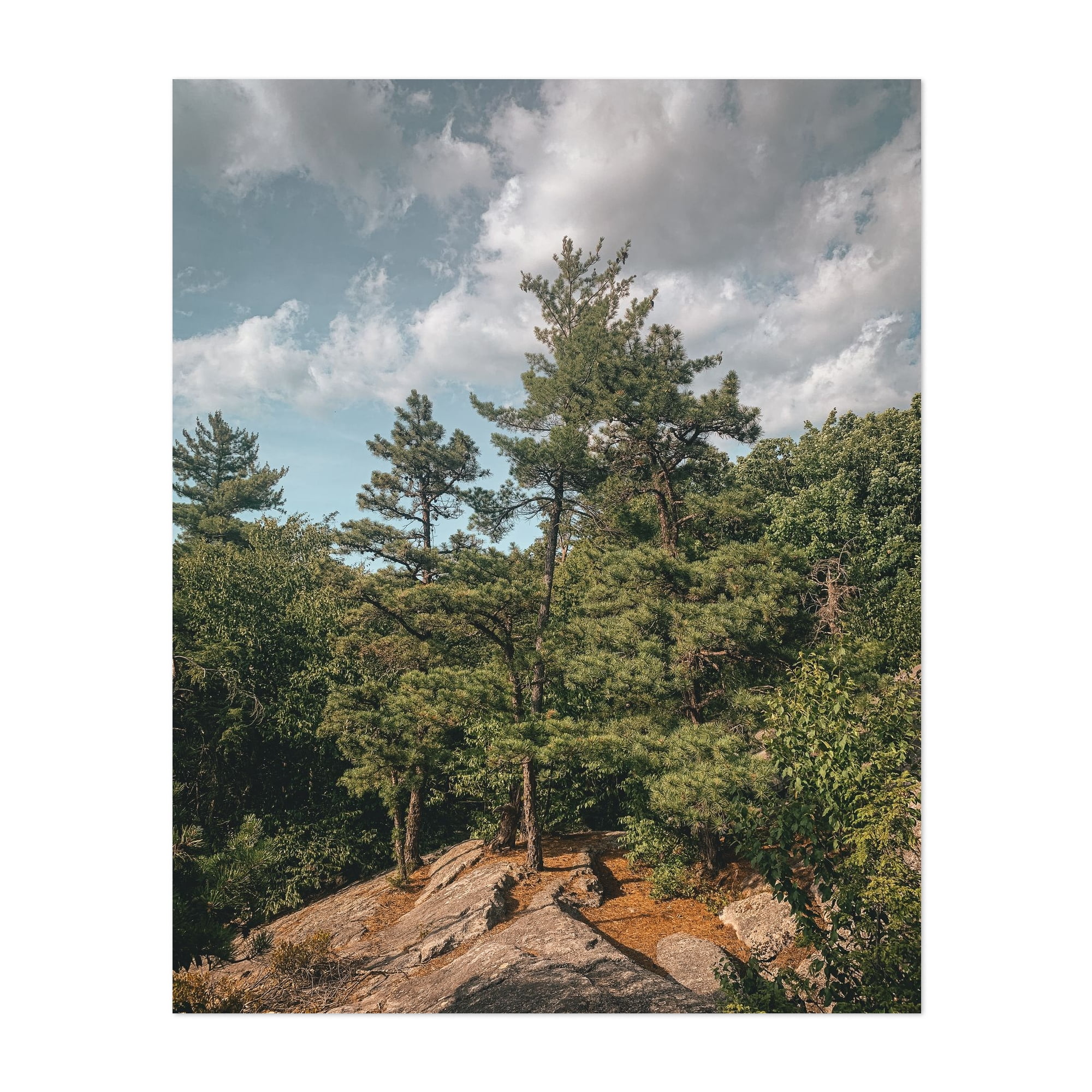 From Table Rocks - Gardiner New York Photography Forest Nature Scenic ...