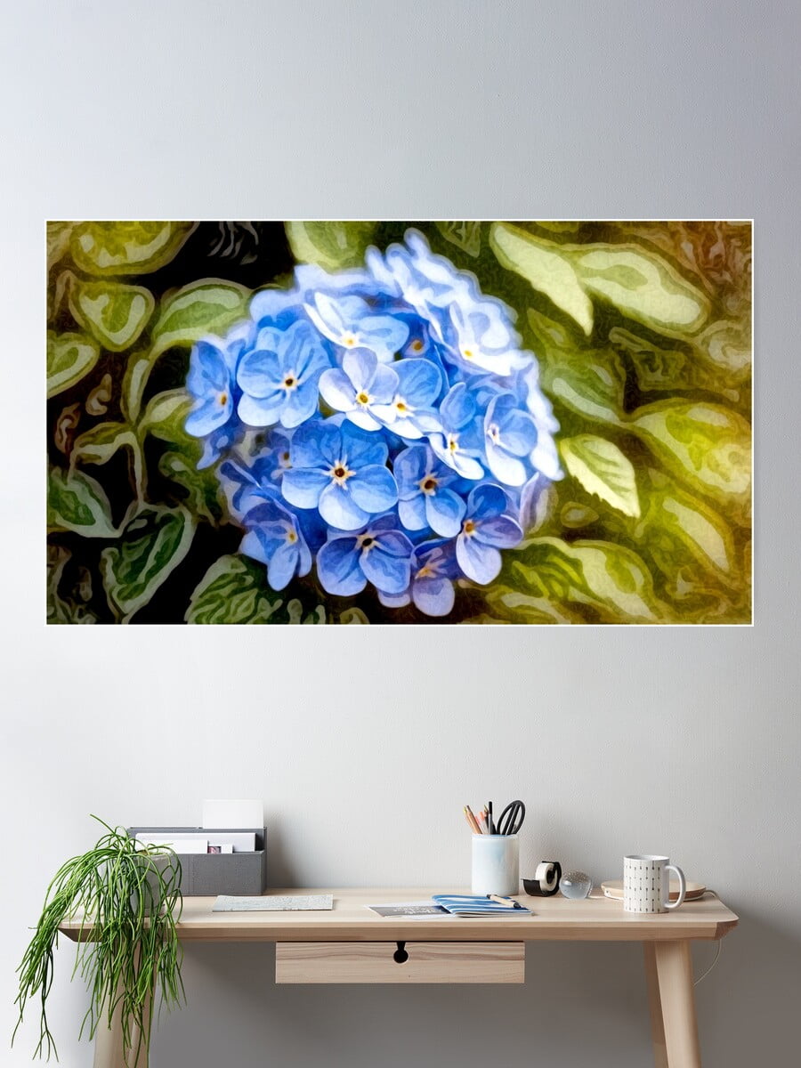 From The Garden : Blue Hydrangea Hortensia#3 Poster Wall Art, Modern ...