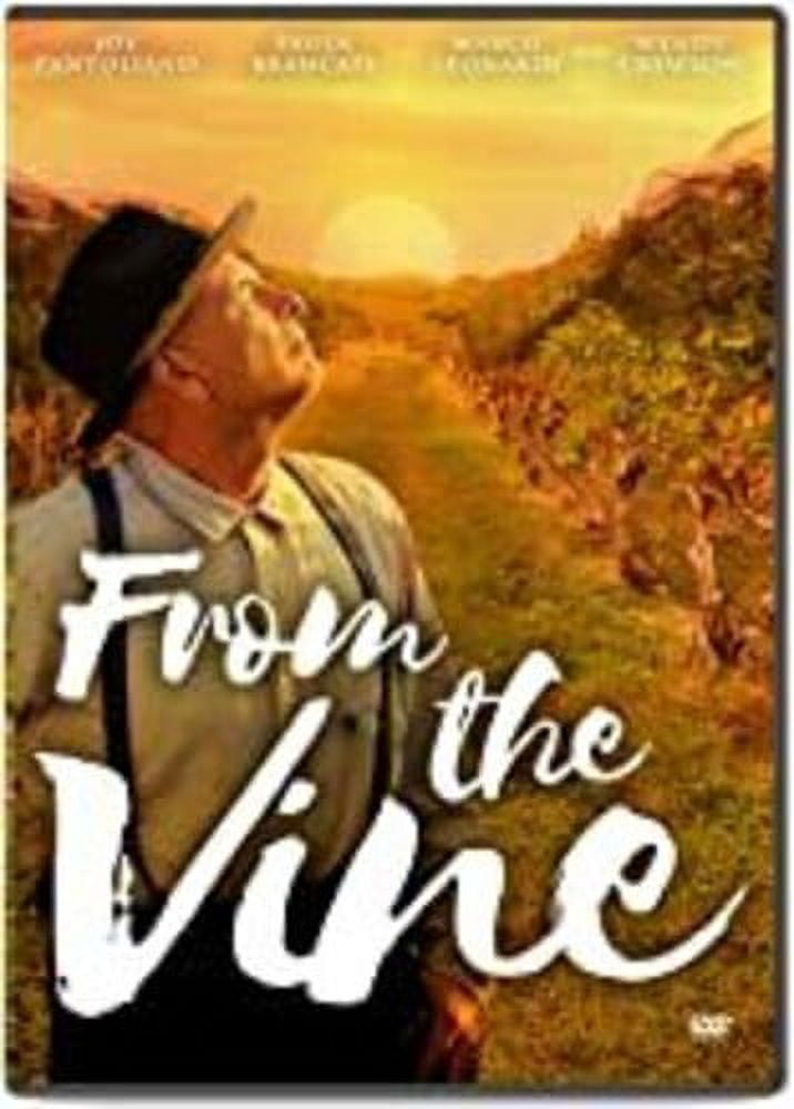 From The Vine (DVD), Samuel Goldwyn Films, Drama - Walmart.com