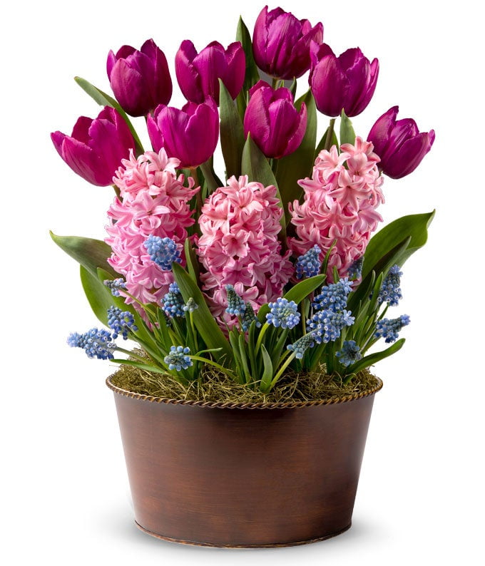 From You Flowers StoreFront - Romantic Flower Bouquets - Walmart.com