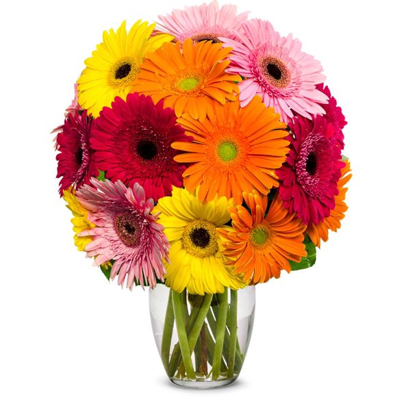 Fresh Flowers in All Flowers - Walmart.com