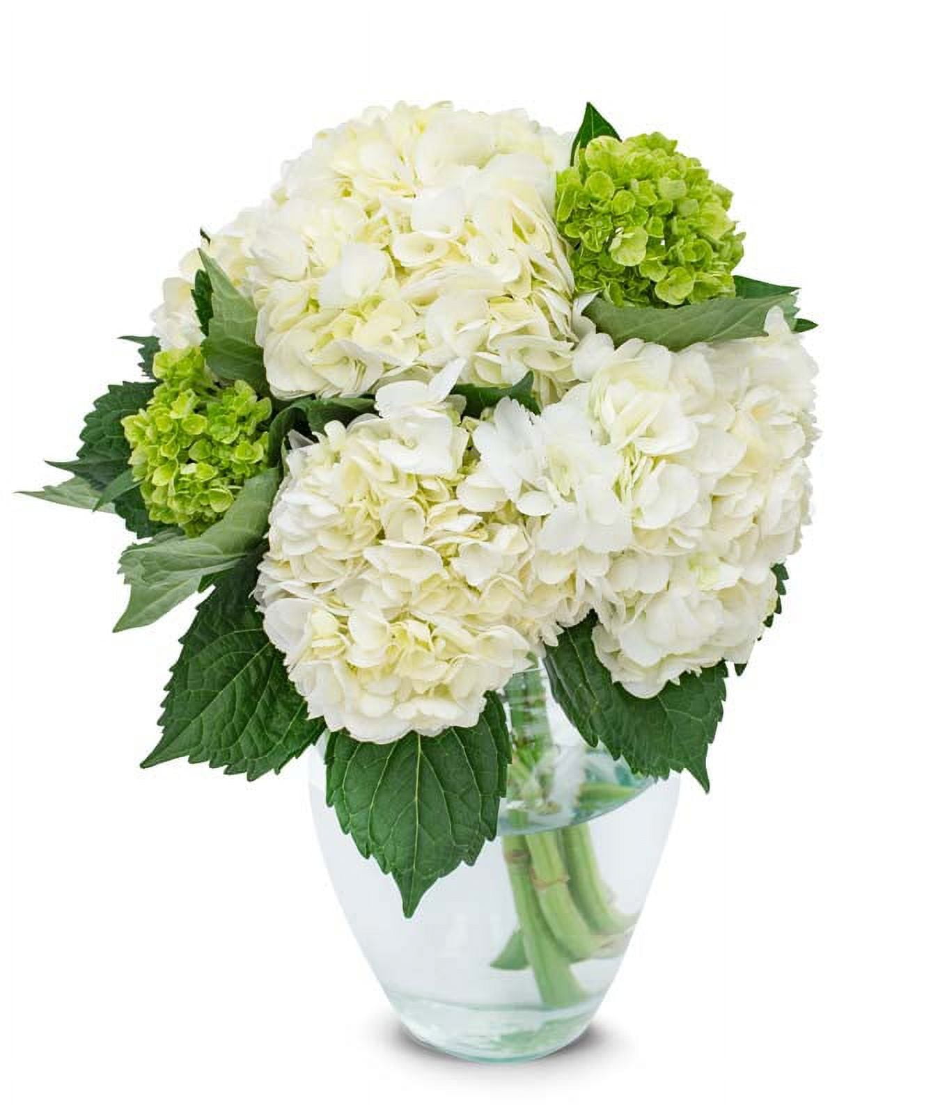 From You Flowers - White & Mini Green Hydrangea Bouquet for Birthday ...