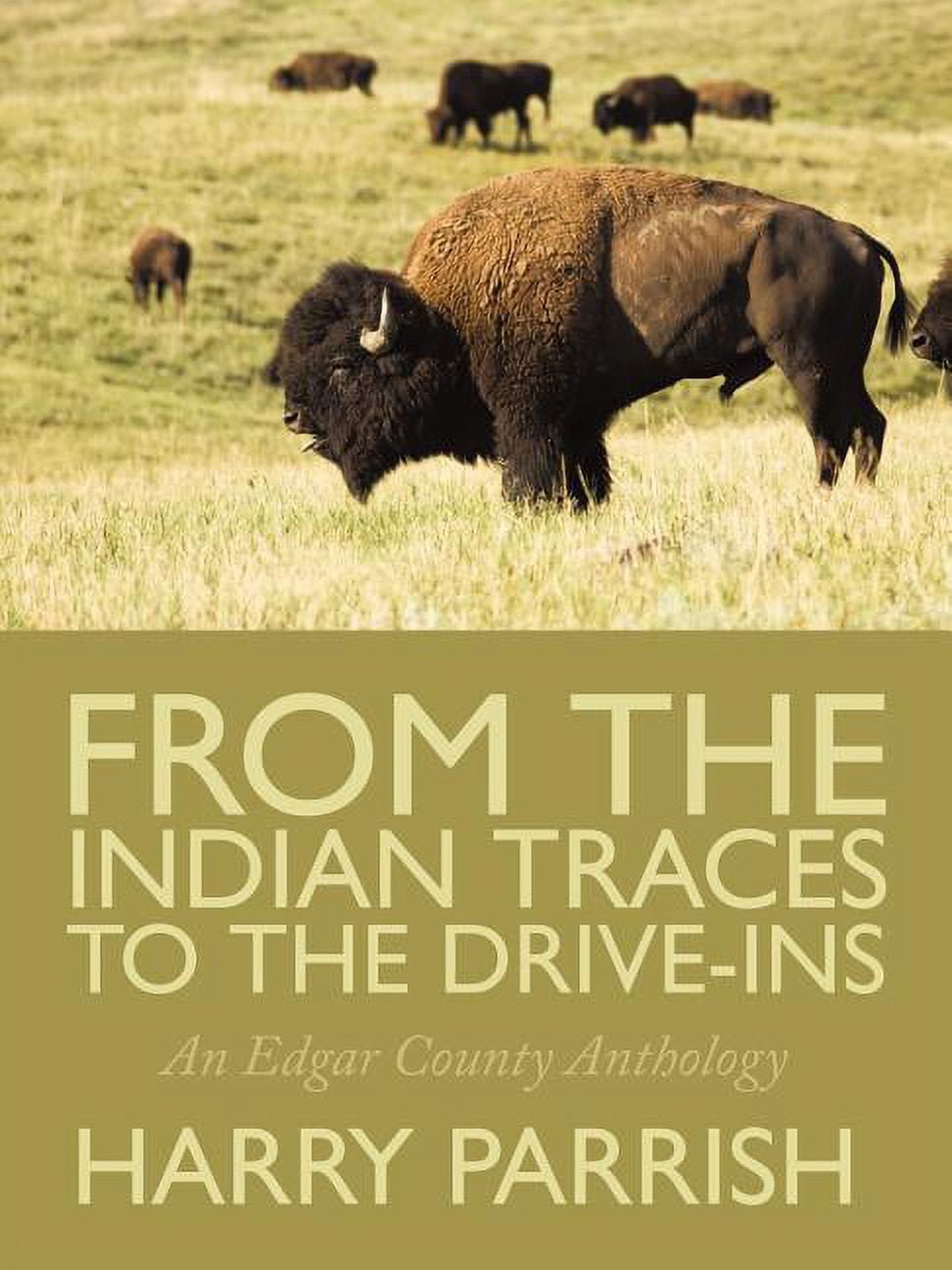 From the Indian Traces to the Drive-Ins: An Edgar County Anthology ...