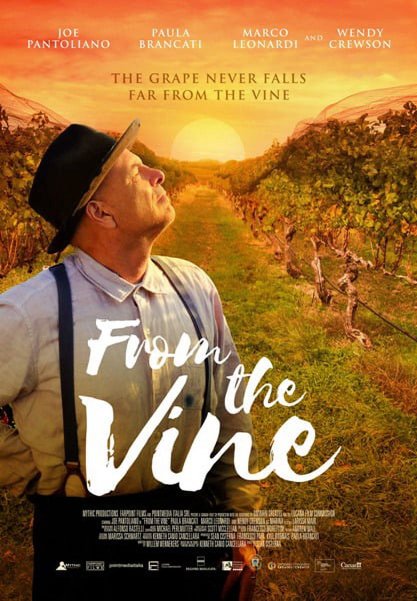From the Vine - Movie Poster (Style A) (27" x 40 ") (2020) - Walmart.com