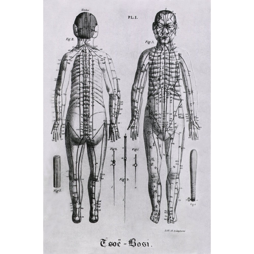 Front And Back Views Of A Human Figure With Numerous Acupuncture Points ...