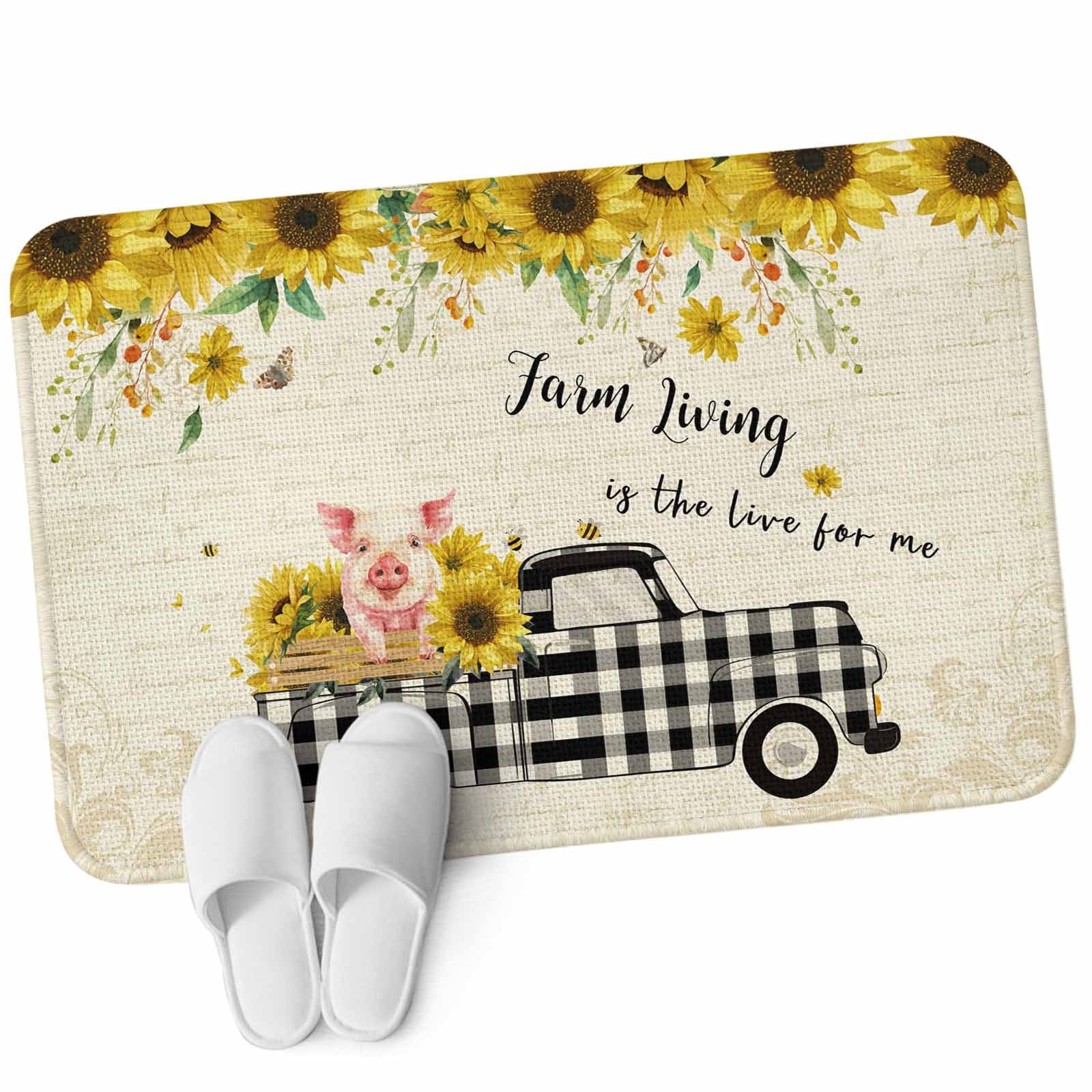 Front Door Mat 19.7"x31.5", Cute Pig Non Slip Backing & Low Profile ...