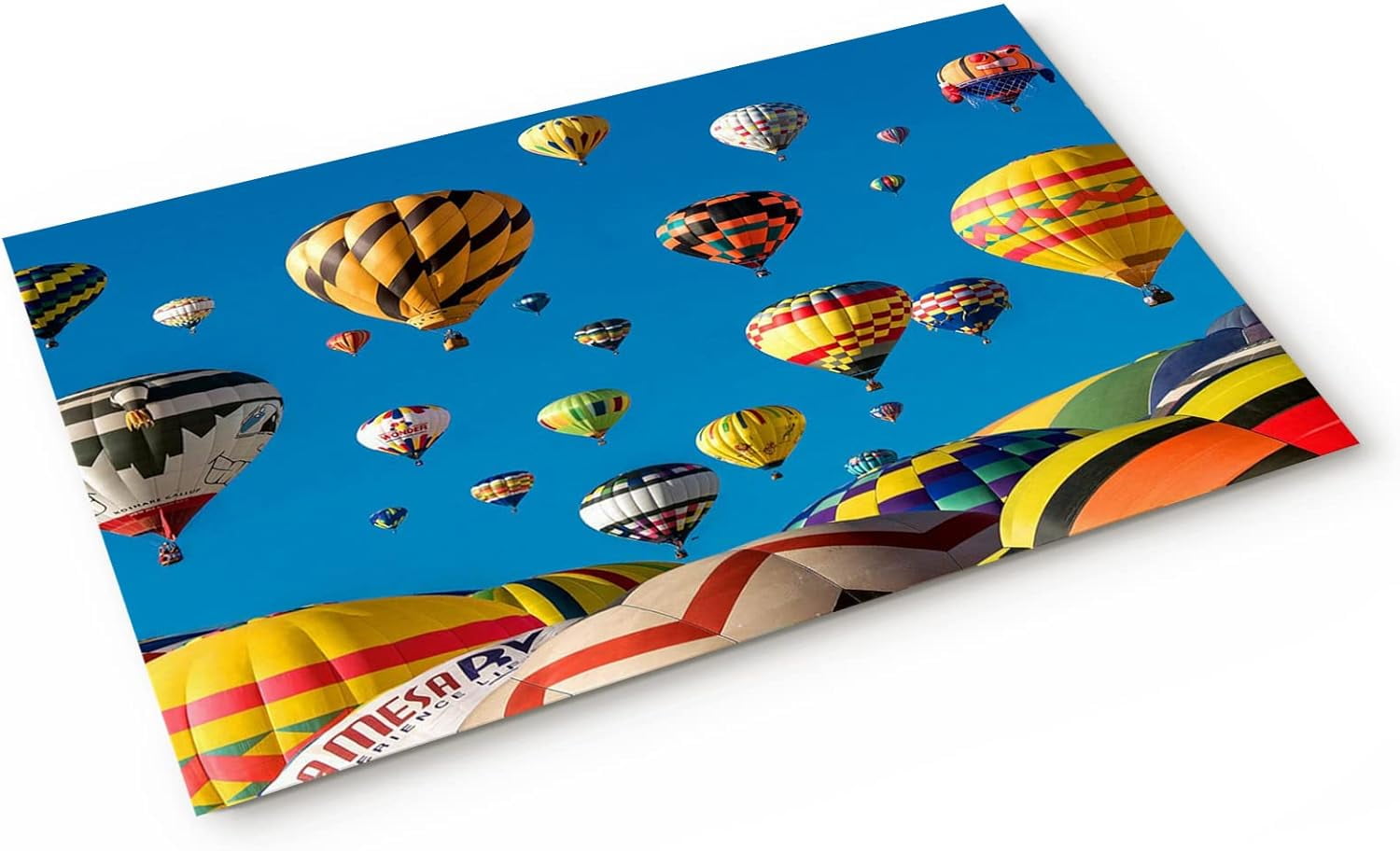 Front Door Mat, Hot Air Balloon Door Mat, Indoor Doormat for Bedroom ...