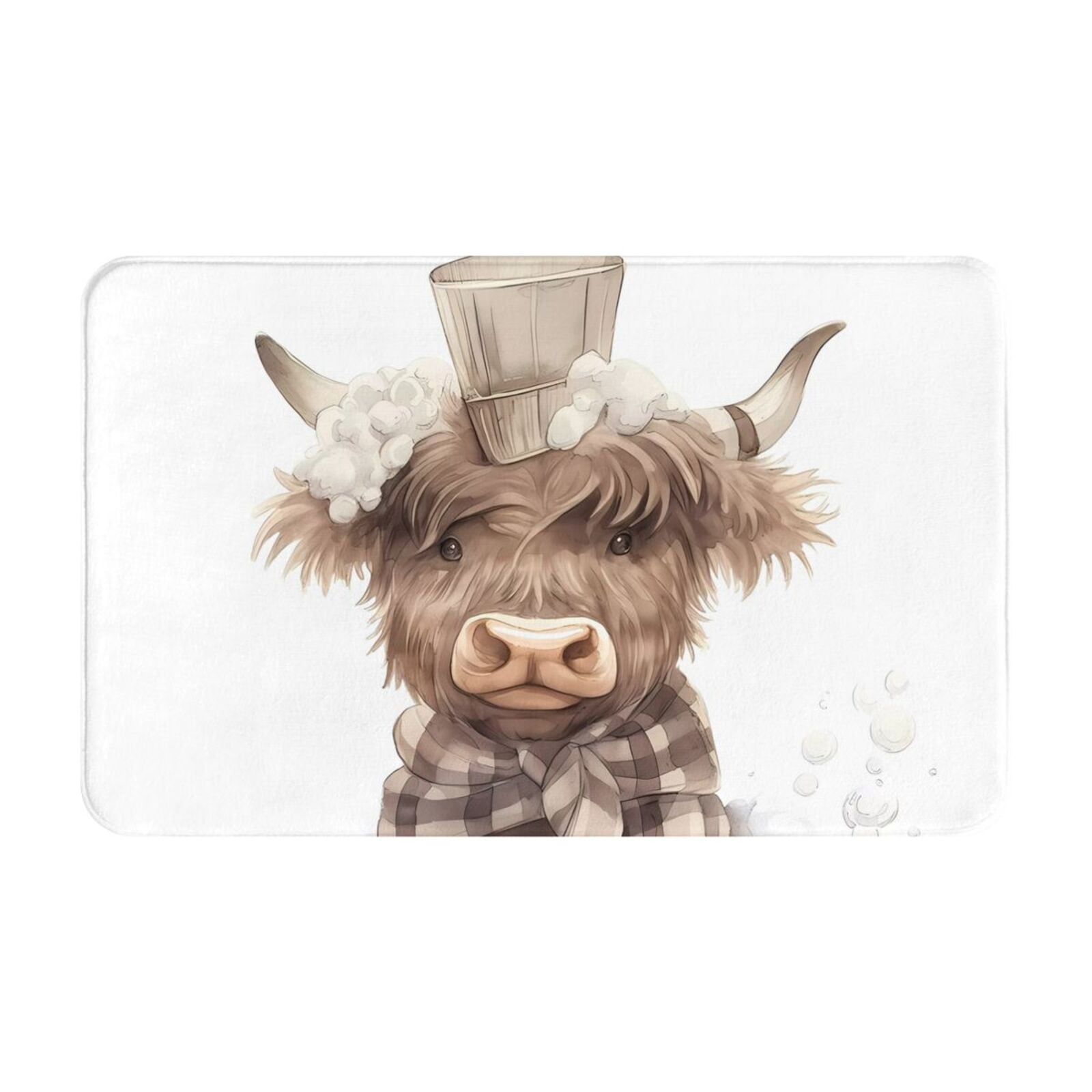 Front Door Mat Indoor Entrance, C 31.5x20 Non-Slip Washable Entryway ...