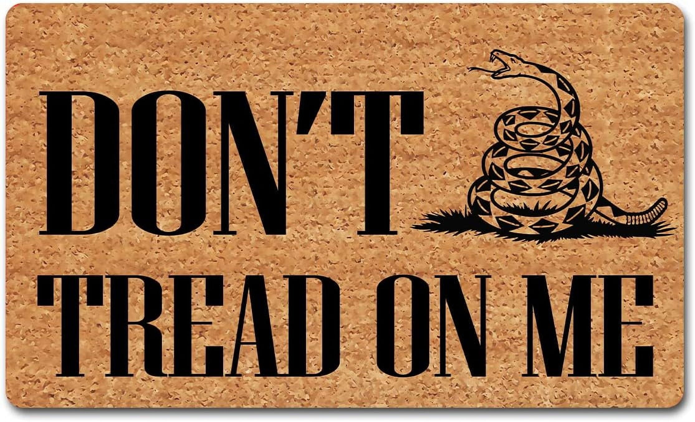 Front Door Mat Indoor Entrance Funny for Entrance Way Decor Indoor ...