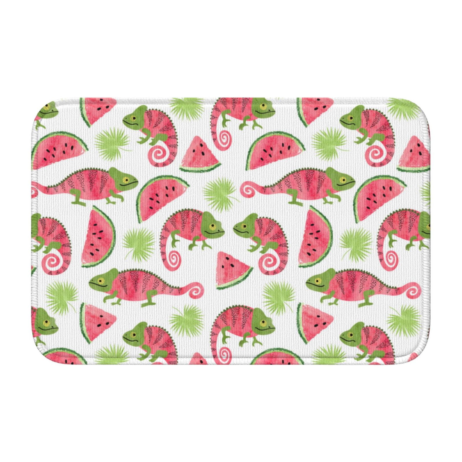 Front Door Mat Indoor/Outdoor Entrance - Cute Chameleon Watermelon 15 ...