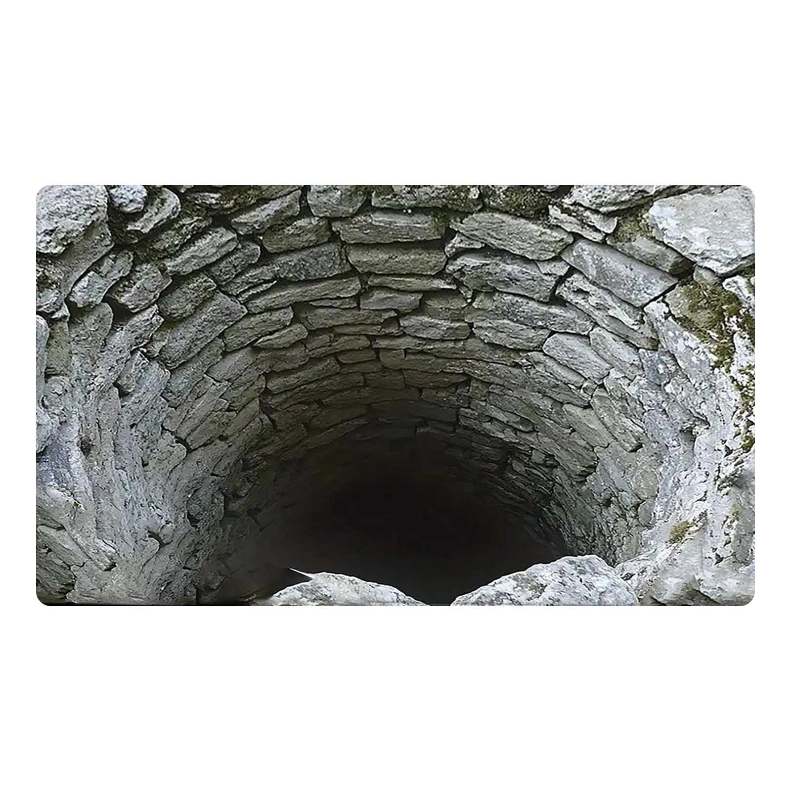 Front Door Mat Outside Entrance 23.62x35.43 Inch 3D Trap Optical Visual ...