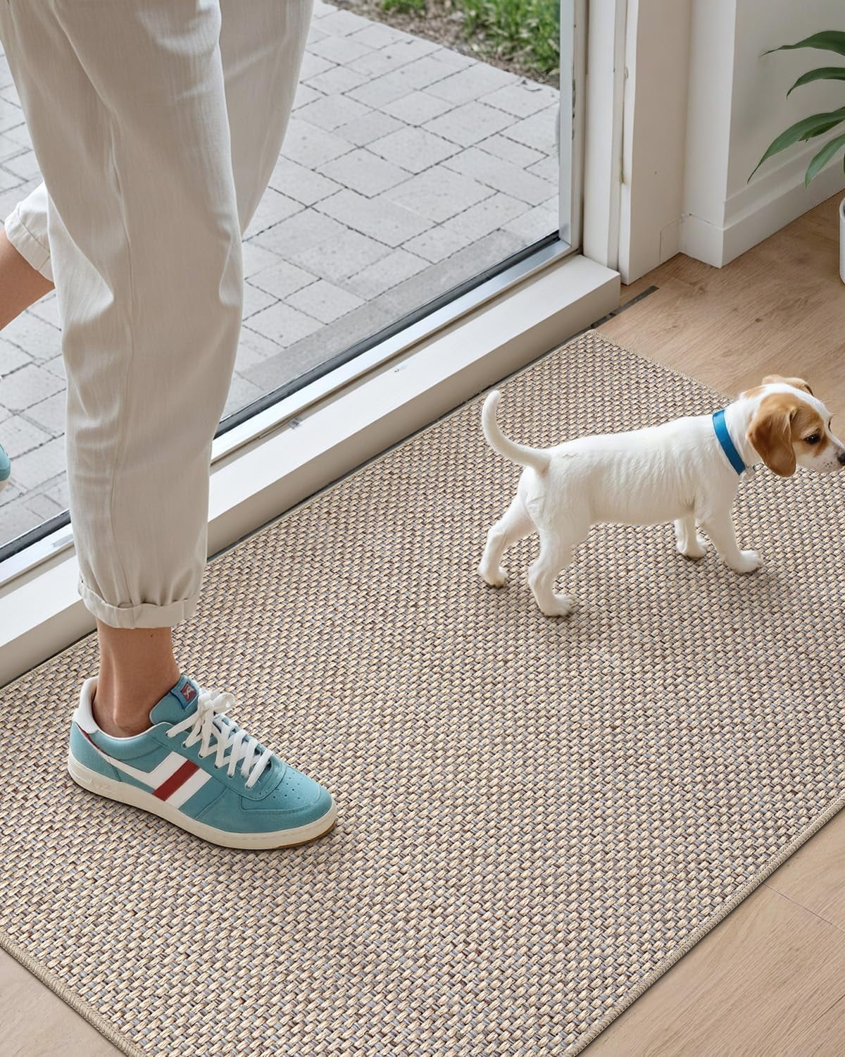 Front Door Mat + Rubber Backed Low Profile + Special Offer + Absorbent ...