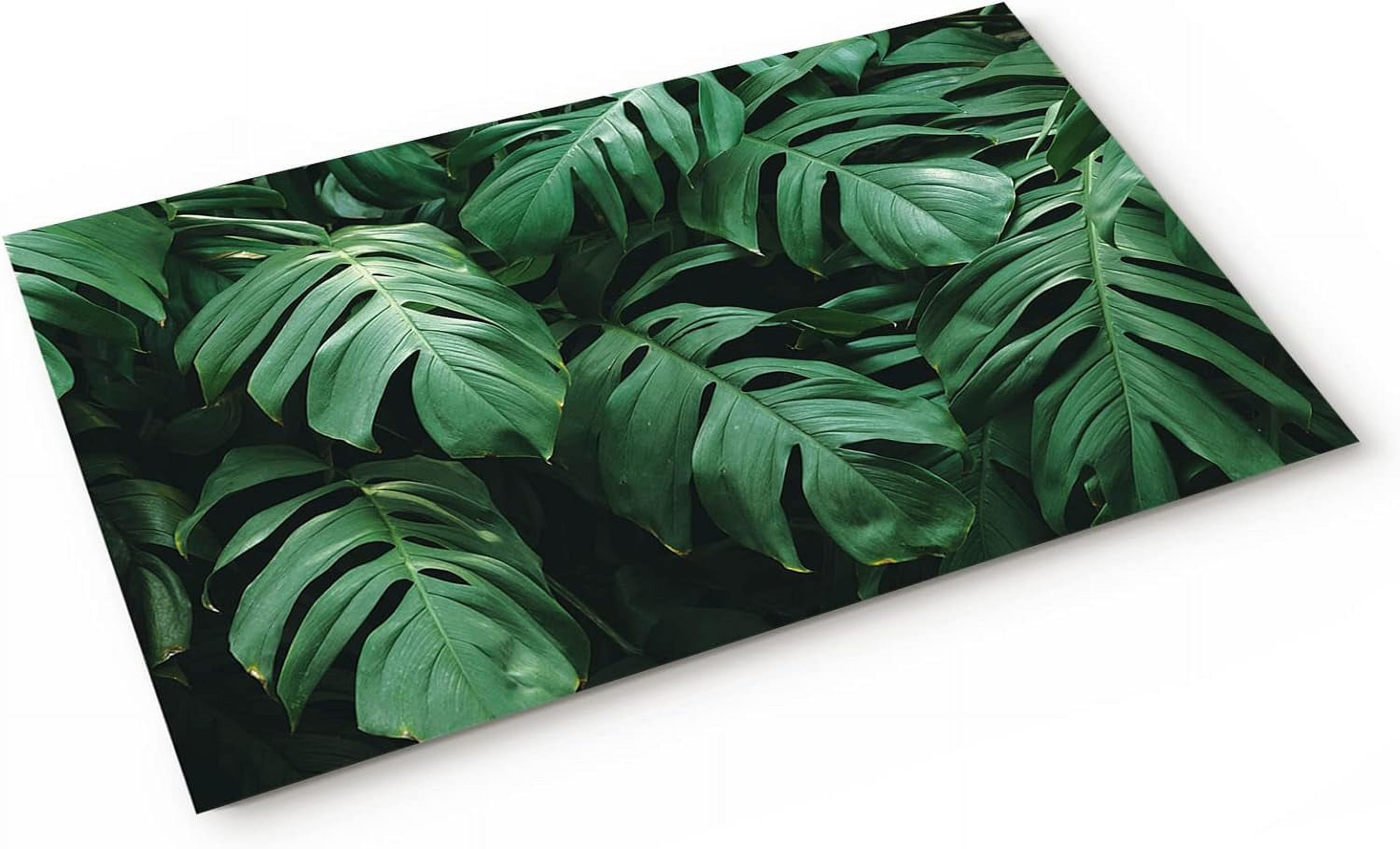 Front Door Mat, Tropical Palm Tree Door Mat, Low Profile Non-Slip Floor ...