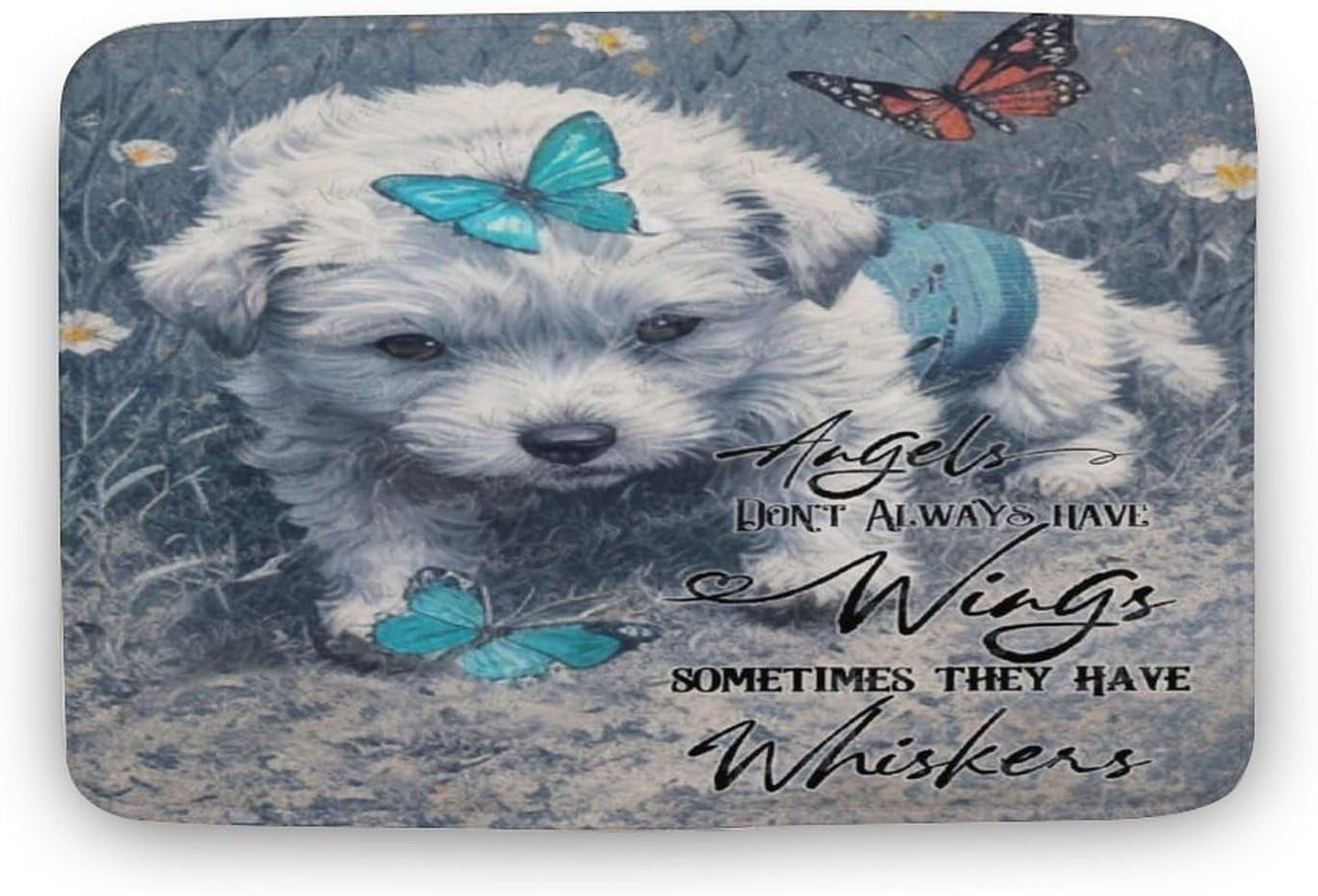 Front Door Mat Welcome Mats - Indoor Outdoor Entryway Mats for Shoe ...