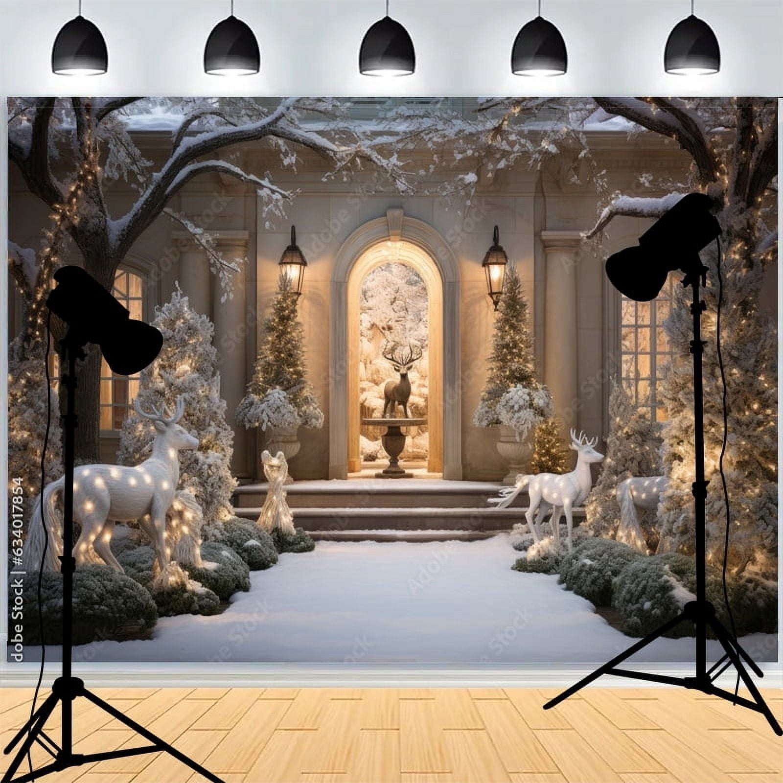 Front Door Window Christmas Day Wreach Photography Backdrops New Year ...