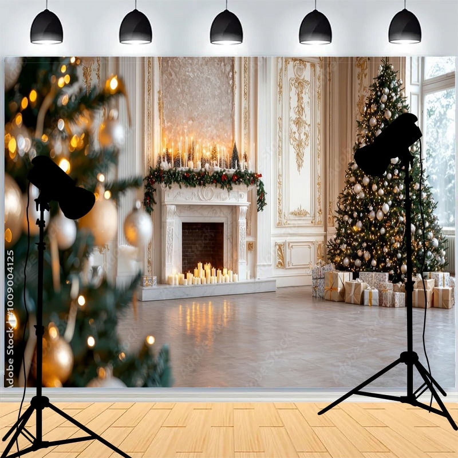 Front Door Window Christmas Day Wreach Photography Backdrops New Year ...