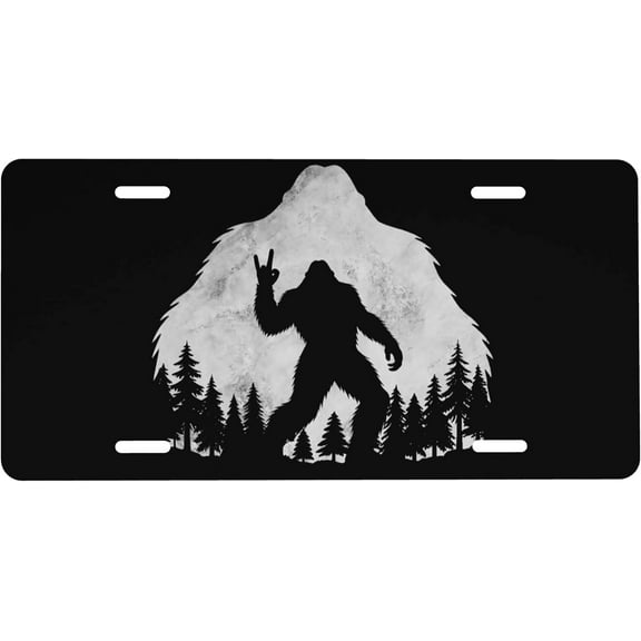 Blessed with Red Letters License Plate with 4 Holes,Novelty Aluminum ...