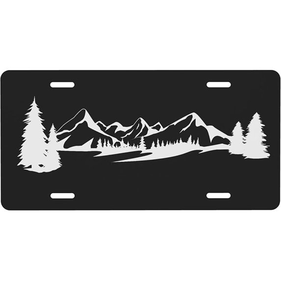 Front License Plate Not All Those Who Wander are Lost Vanity Plates ...