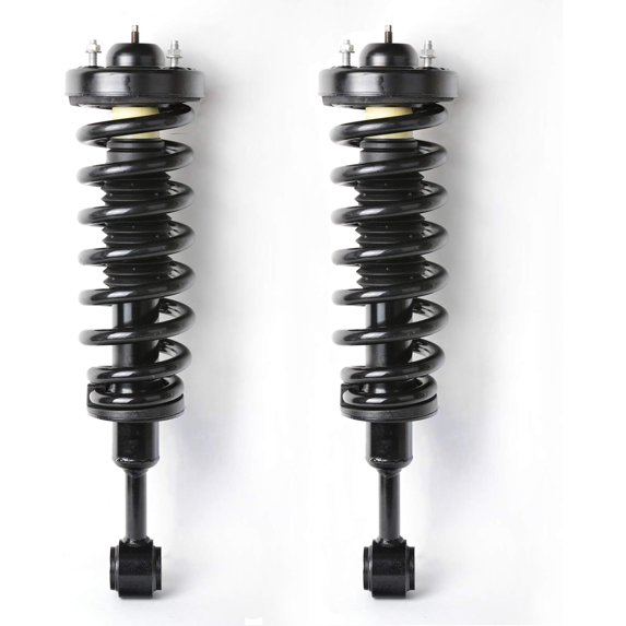 Front Pair Complete Strut Spring Assembly Compatible for 2004-2008 Ford ...