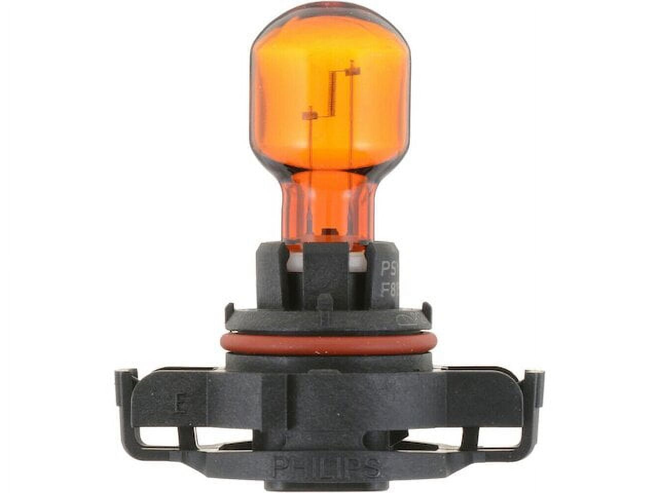 Front Parking Light Bulb - Compatible with 2021 Jeep Renegade - Walmart.com