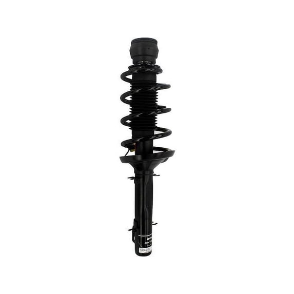 Front Strut and Coil Spring Assembly - Compatible with 1999 - 2005 ...