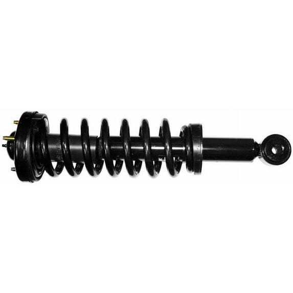 Front Strut and Coil Spring Assembly - Compatible with 2004 - 2008 Ford ...