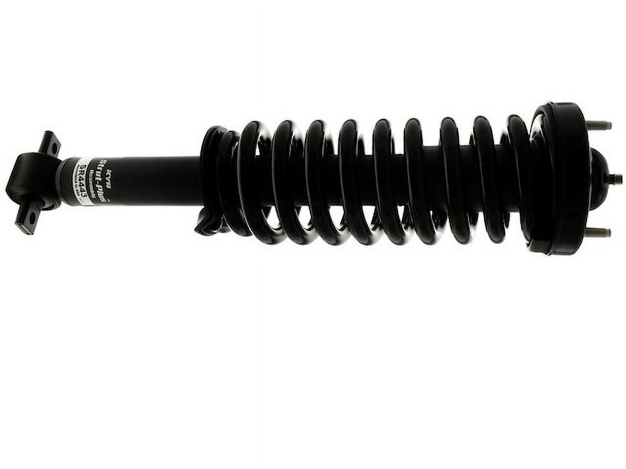 Front Strut and Coil Spring Assembly - Compatible with 2014 - 2020 Ford ...