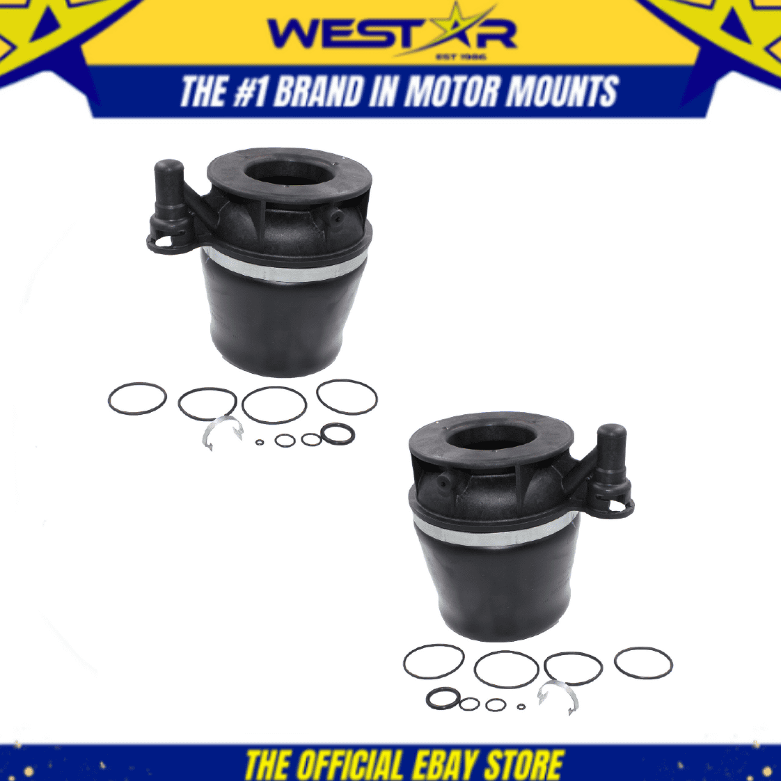 Front Suspension Air Spring Pair Fit 2001-2005 Audi Allroad Quattro ...