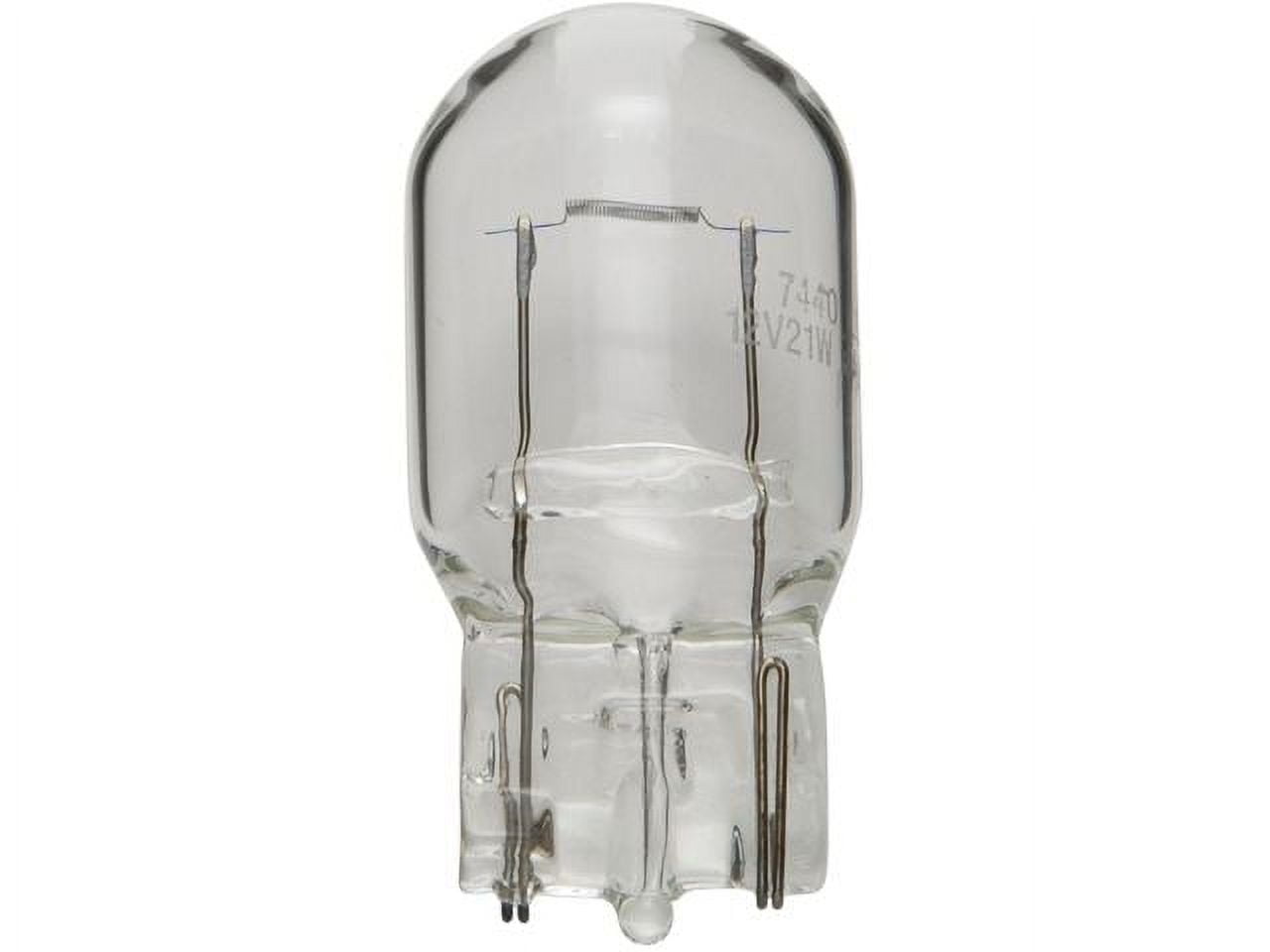 Wagner Clear Halogen Automotive Bulb fits Ford Escape S - Walmart.com