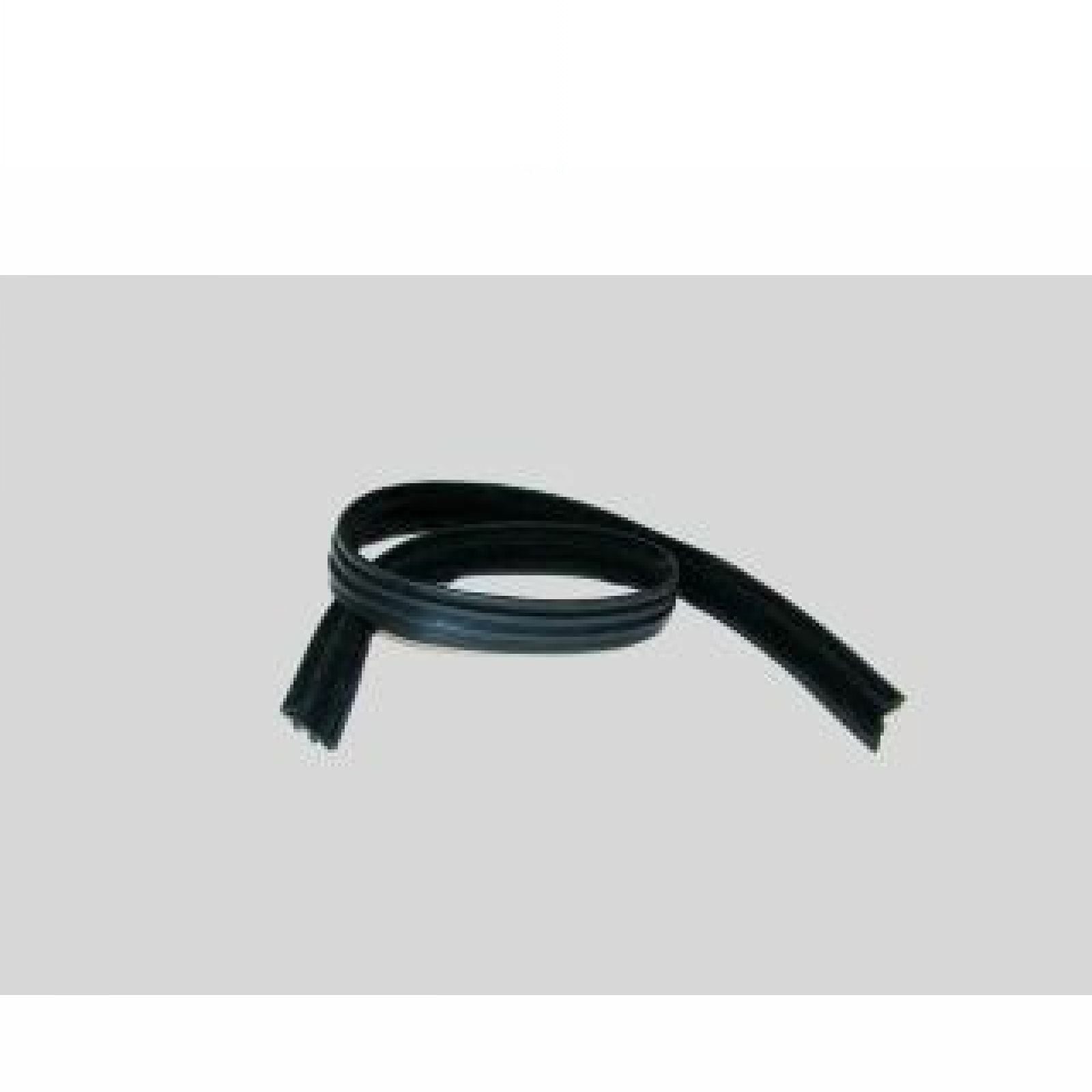 Front Window Glass Run Channel Weatherstrip for 75-80 for Ford E100 ...