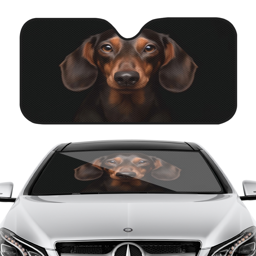 Front Windshield Sun Shade for Car & SUV, 55x30 Inch, UV Blocker ...