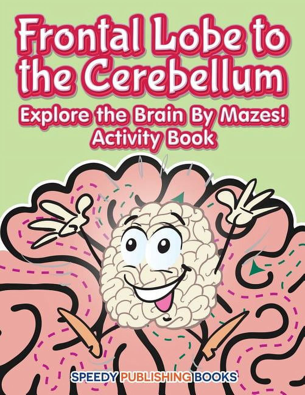 Frontal Lobe to the Cerebellum: Explore the Brain By Mazes! Activity ...