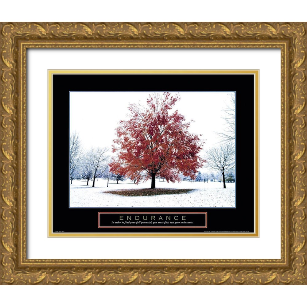 Frontline 14x12 Gold Ornate Wood Framed with Double Matting Museum Art ...