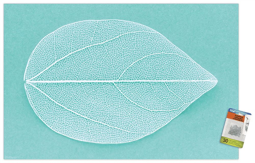 Frosted Art Trend - White Leaf Wall Poster with Push Pins, 22.375" x 34 ...