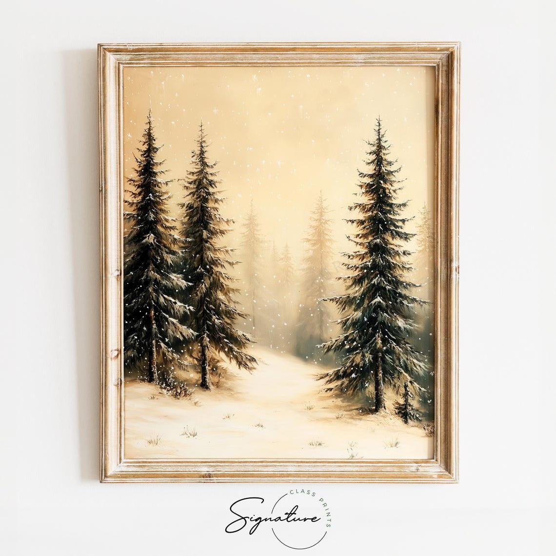 Frosted Pine Trees In Winter Grove Art, Winter Forest Scene, Rustic ...