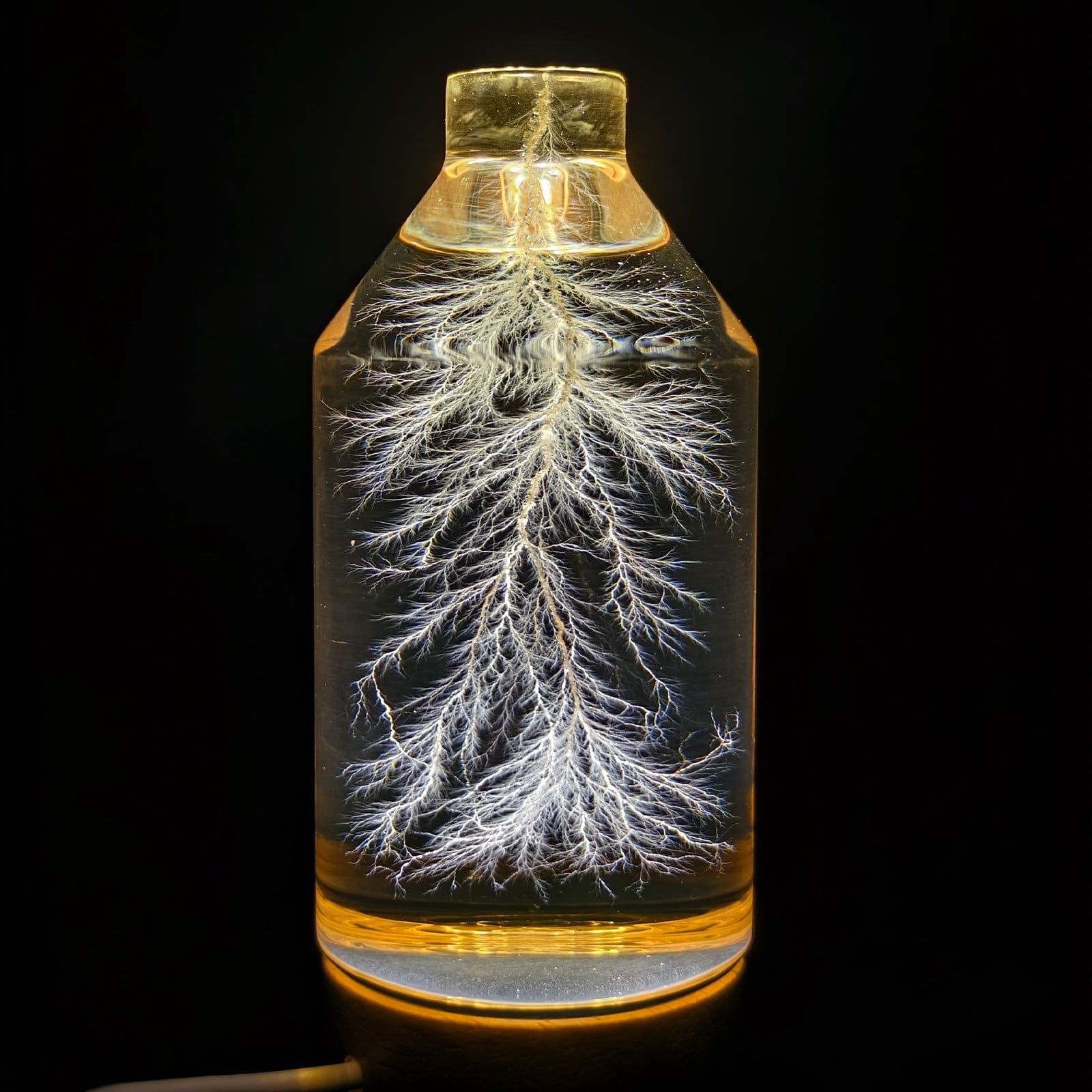 Frozen Lightning in Bottle / Lichtenberg Figure Acrylic Sculpture 2" x ...