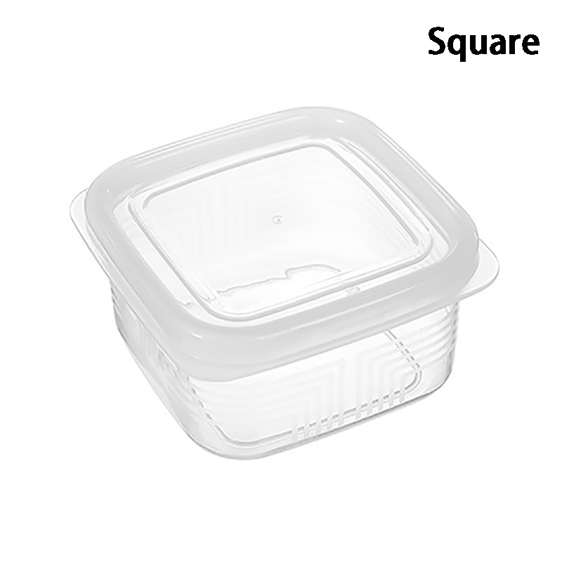Frozen Meat Storage Box Portable Refrigerator Fruit Vegetable Fresh ...