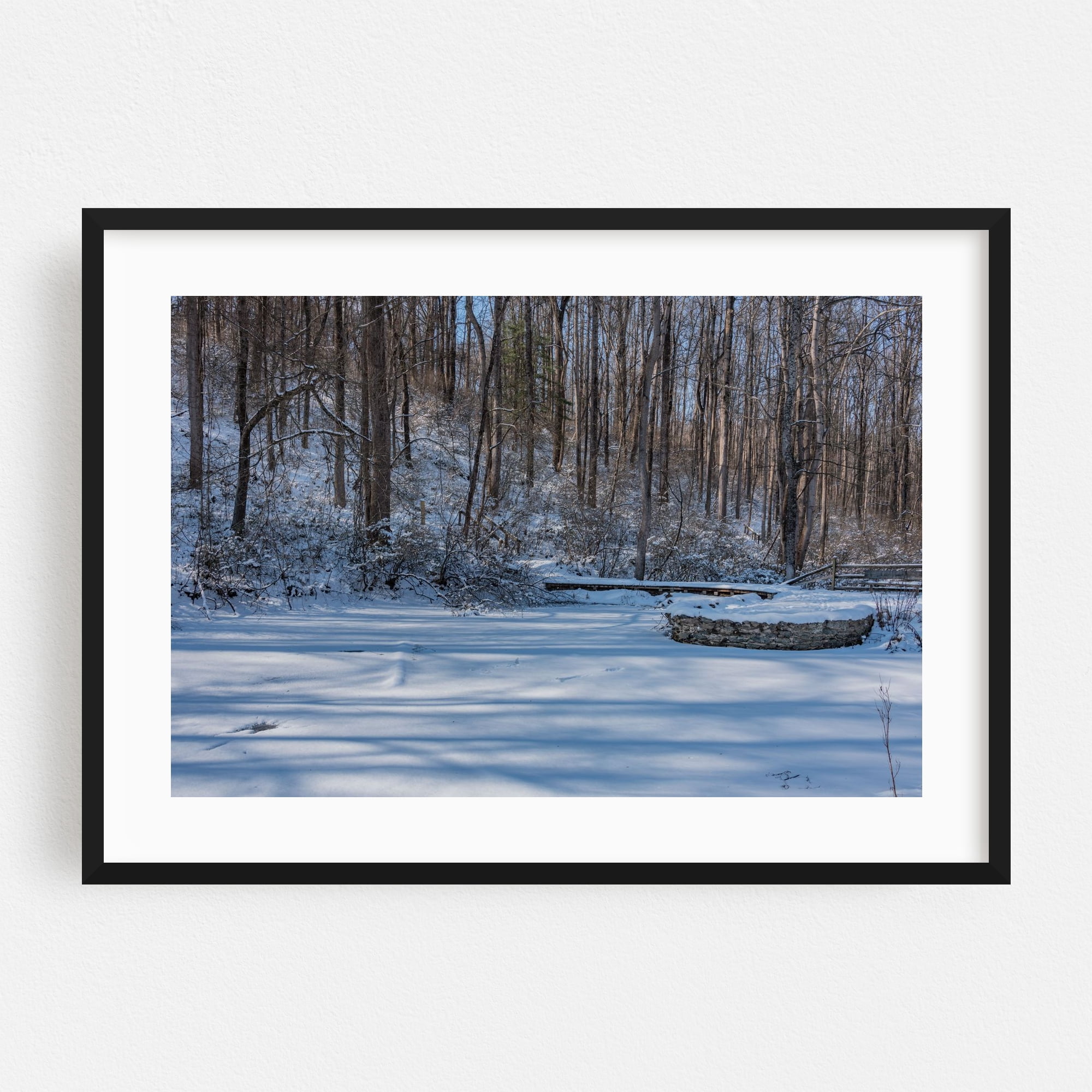 The Frozen Pond in Nixon Park on a January Afternoon, York PA - York ...