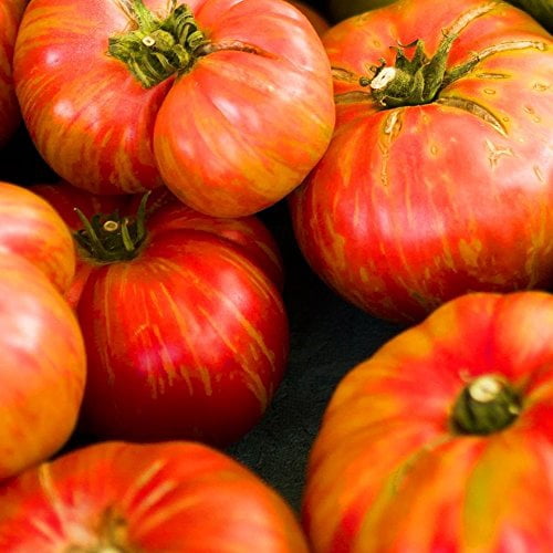 Frozen Seed Capsules AJH3 - Big Rainbow Tomato - Grow Now or Store for ...