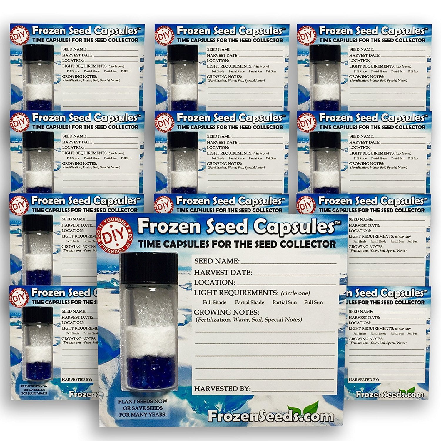 Frozen Seed Capsules 'Do-It-Yourself' DIY Medium NSD3 Seed Storage ...