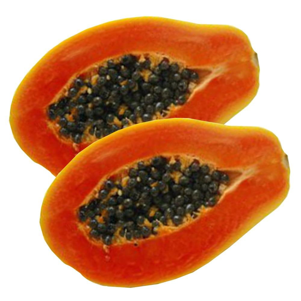 Frozen Seed Capsules - Florida Red MVR1 Royale Papaya (Carica Papaya ...