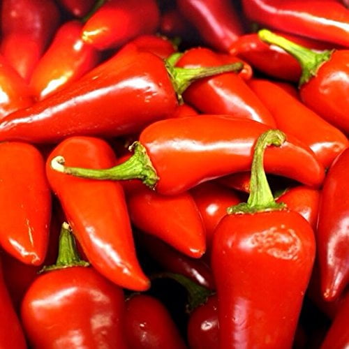 Frozen Seed Capsules - Fresno Chili NSD3 Pepper - Grow Now or Store for ...